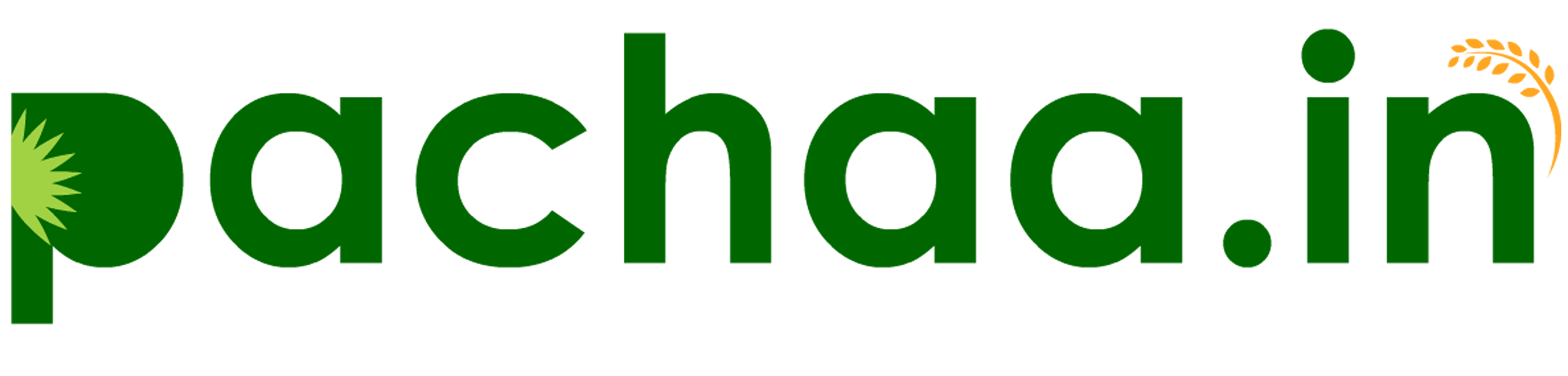 Buy White Country Cholam Corn (வெள்ளை சோளம்) 500gms online in Chennai ...